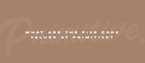 Primitive’s Core Values